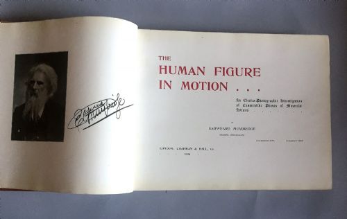 The Human Figure In Motion - By Eadweard Muybridge